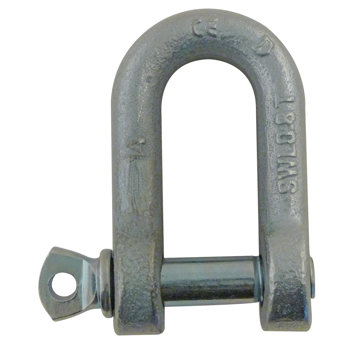 Espace Maison - Straight Shackle Stamped