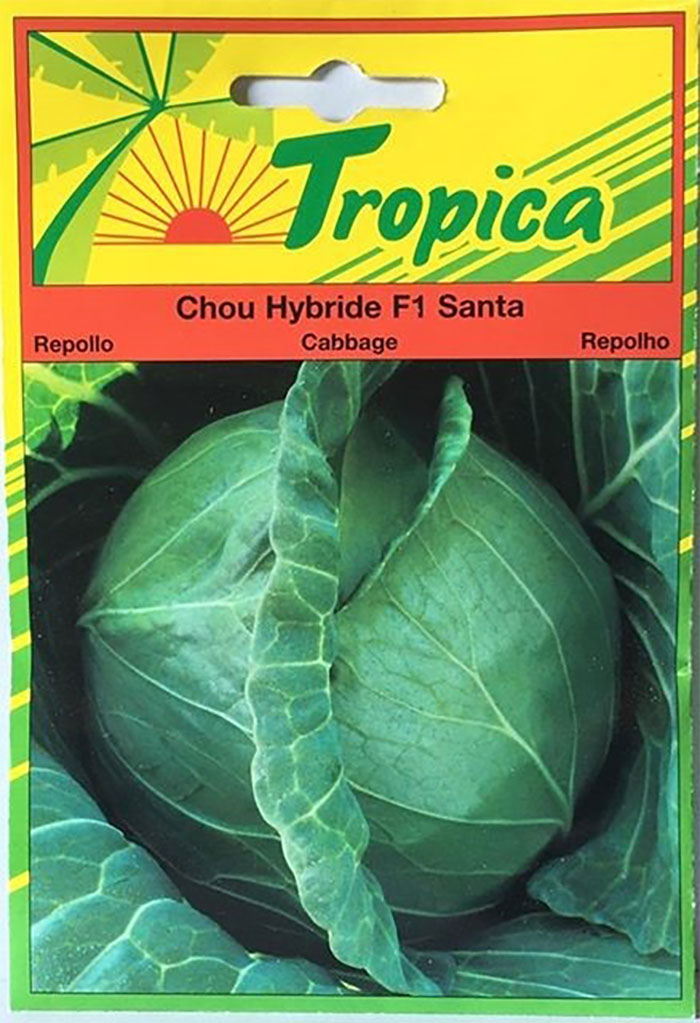 Espace Maison - Cabbage Santa F1 seeds