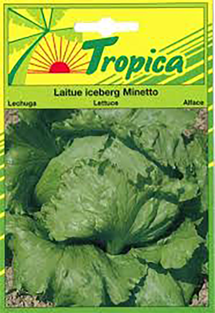 Espace Maison - Minetto Lettuce seeds