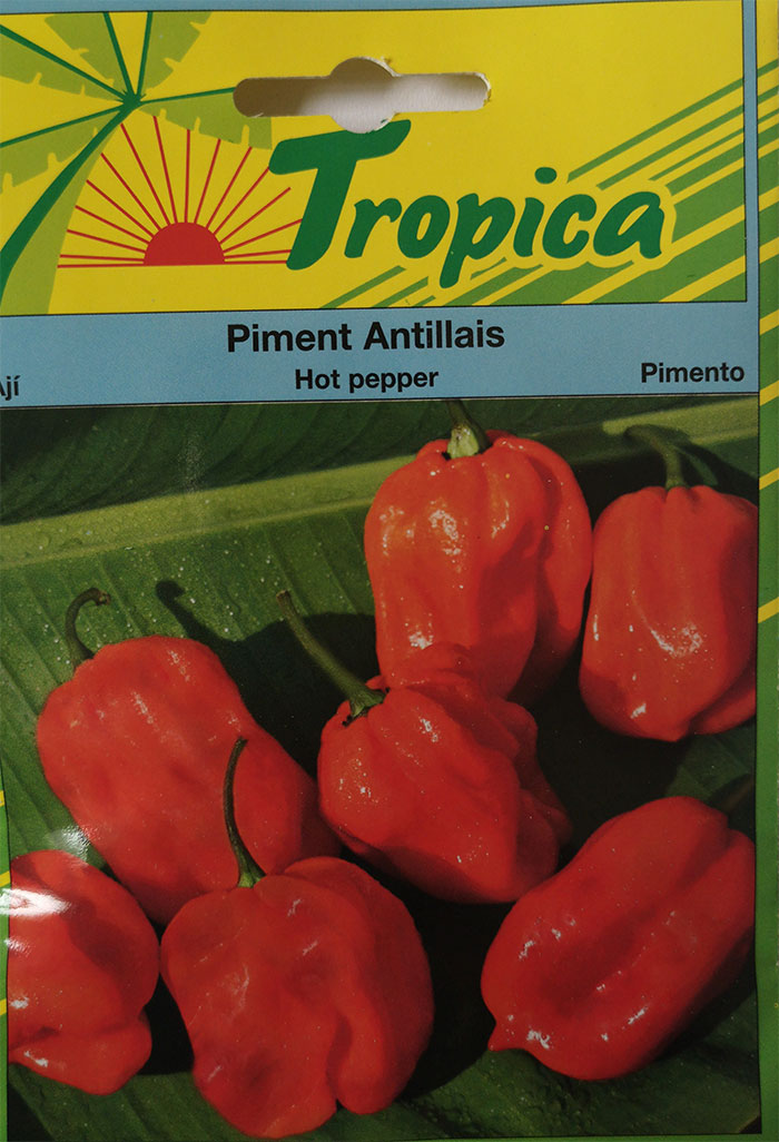 Espace Maison - Semence de Piment Antillais