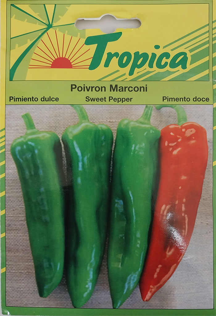 Espace Maison - Seed - Marconi pepper