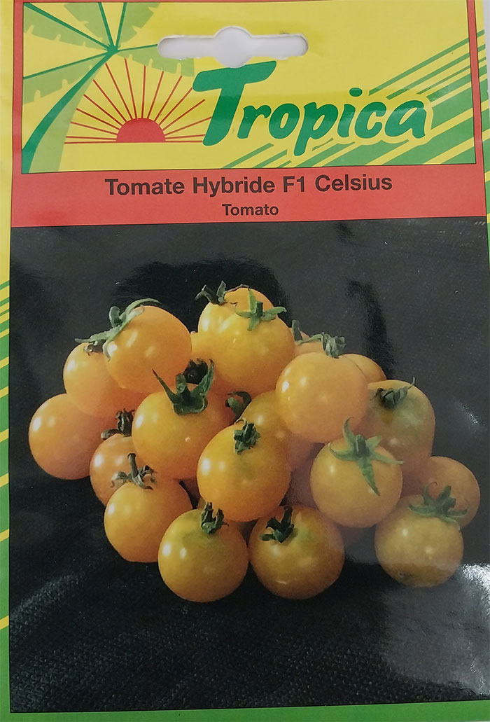 Espace Maison - Seed - Celsius tomato