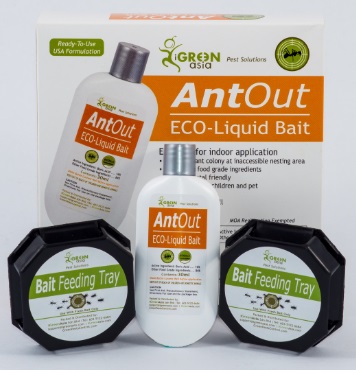 Espace Maison - Ant Out