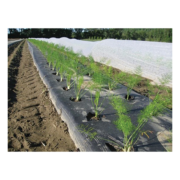 Espace Maison - Fibertex geotextile F-30