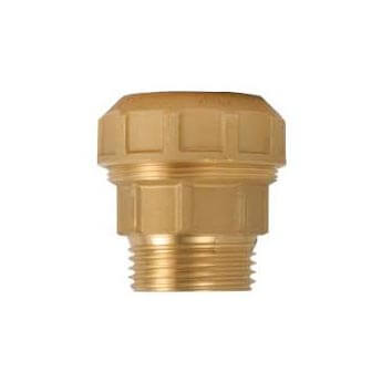 Espace Maison - Brass male septor