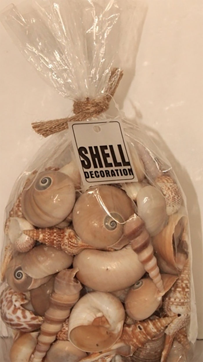 Espace Maison - Mix of shellfish in pouch