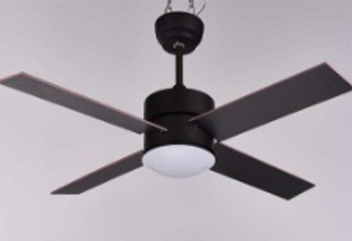 Espace Maison - Ceiling fan with light
