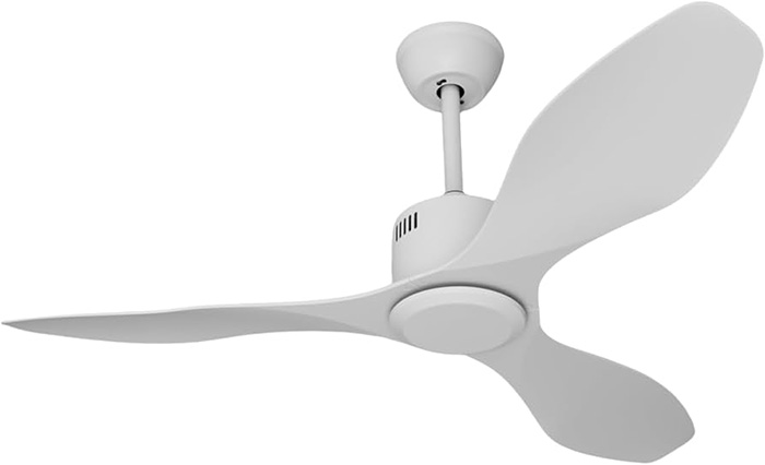 Espace Maison - Ceiling fan with light