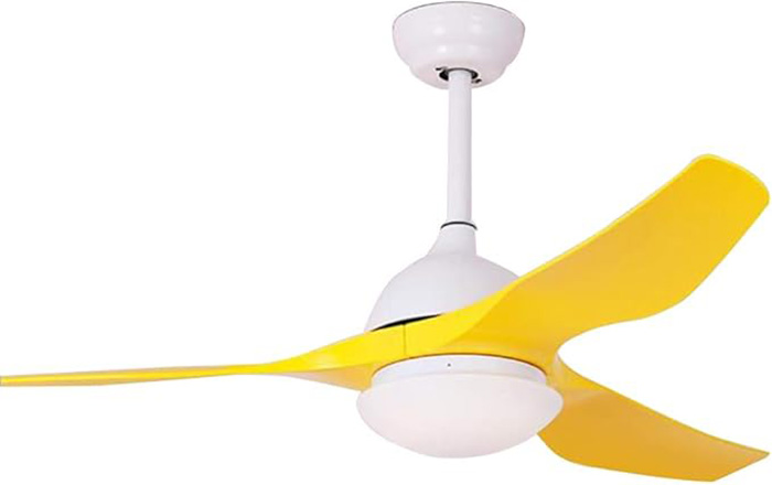 Espace Maison - Ceiling fan with light